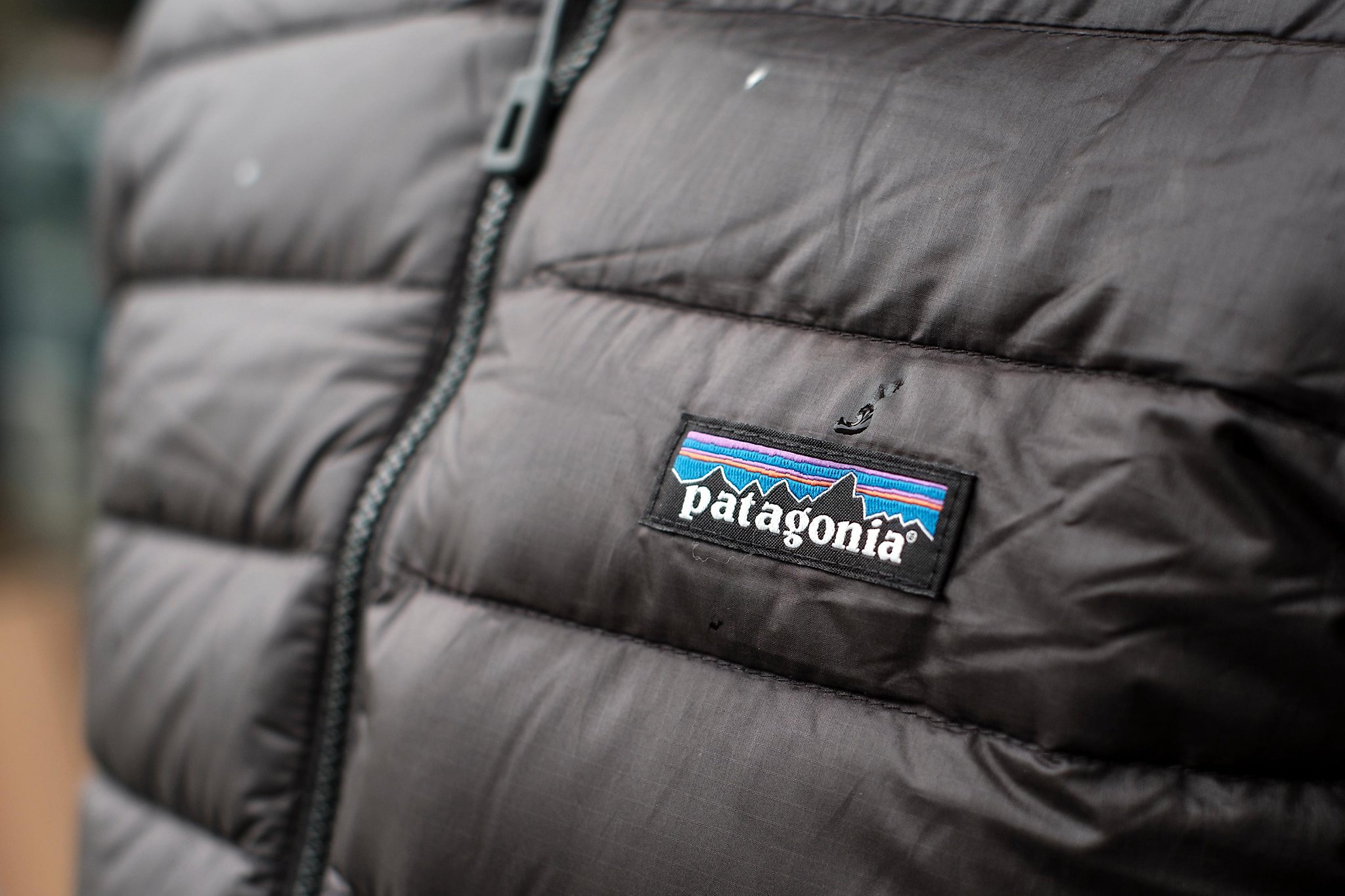 Jennifer Ridgeway, Patagonia brand pioneer, dies at 69