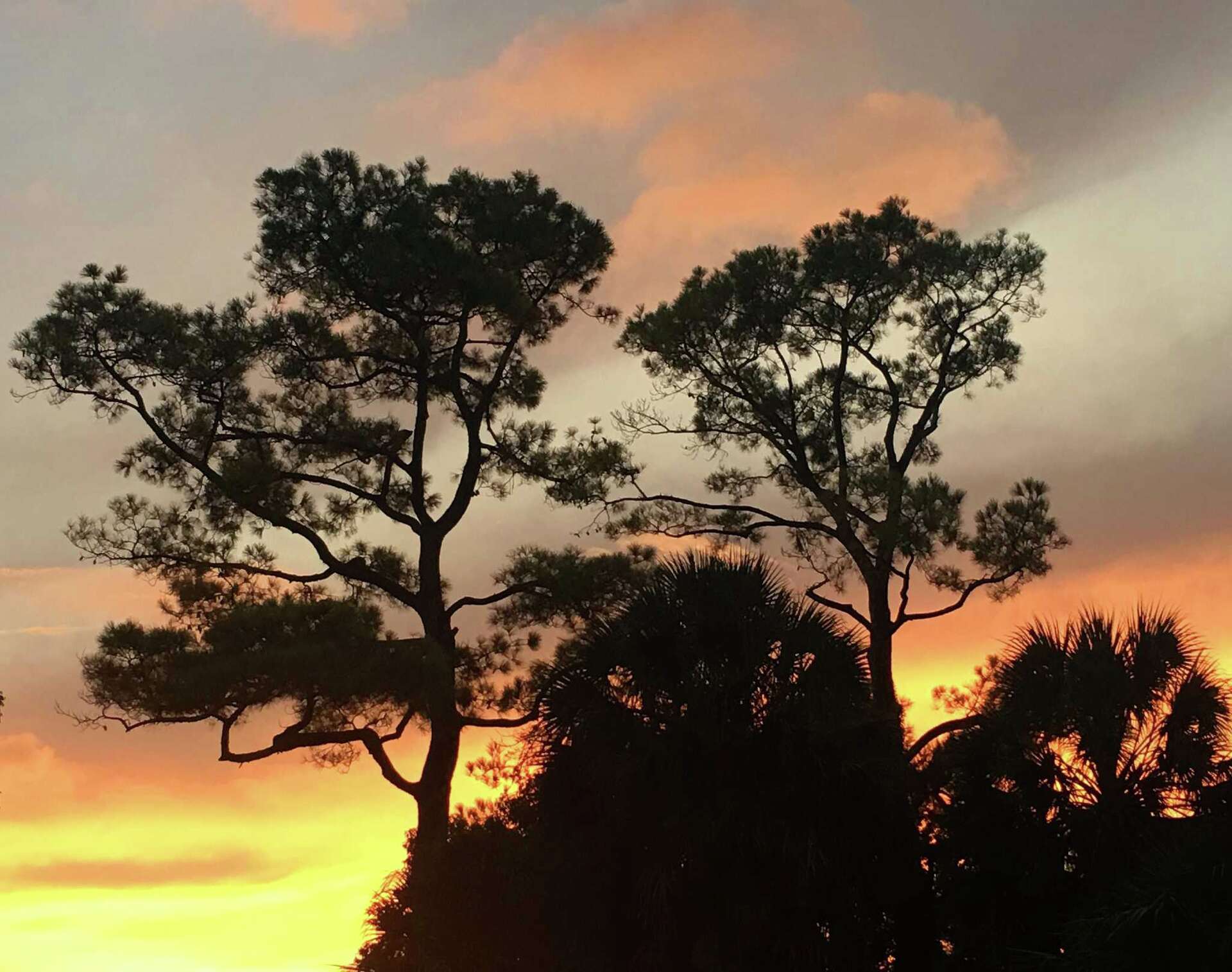 Volcanic ash dusts Houston skyline with purple haze