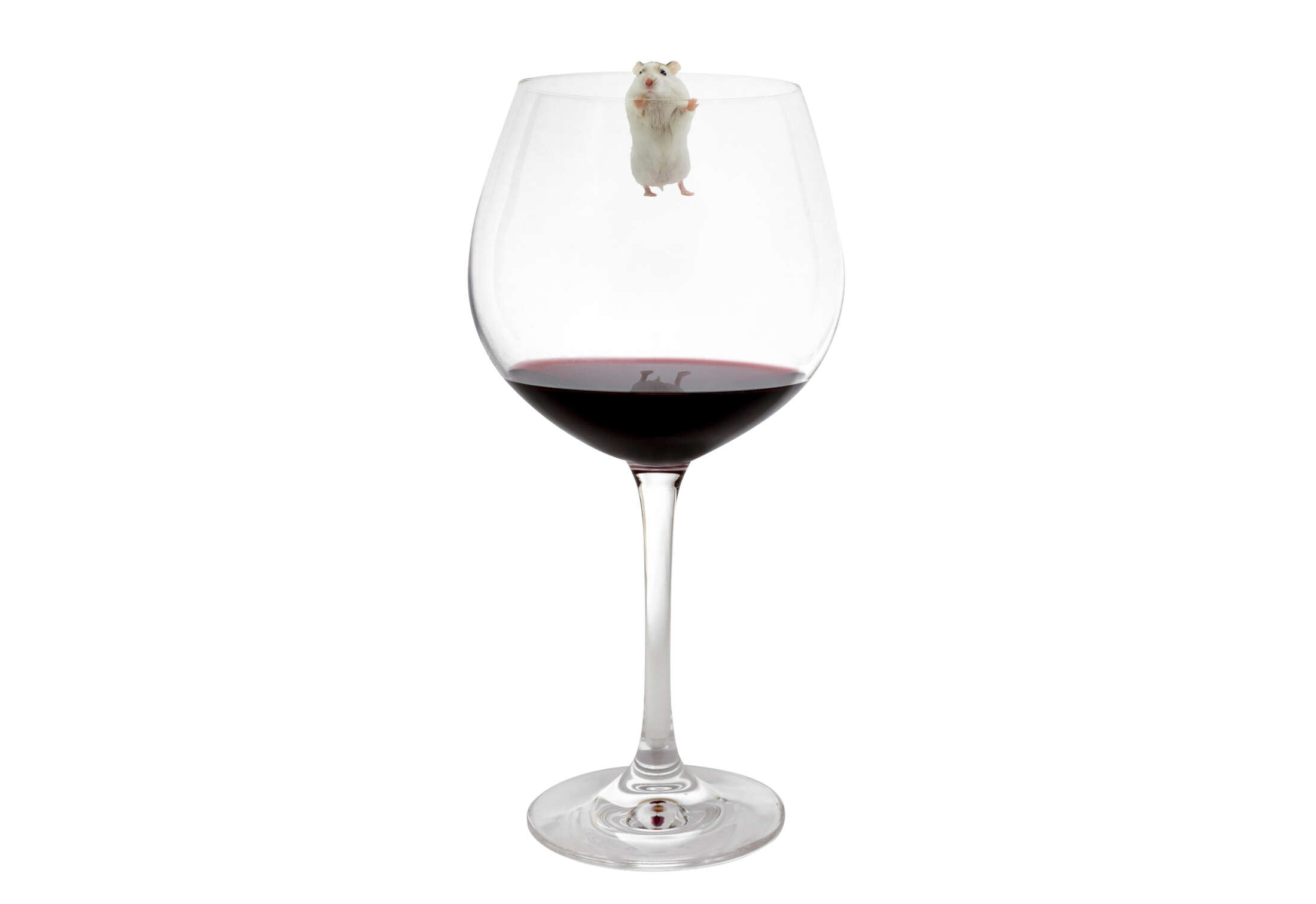 The mysterious and not fully understandable wine defect popping up in ...