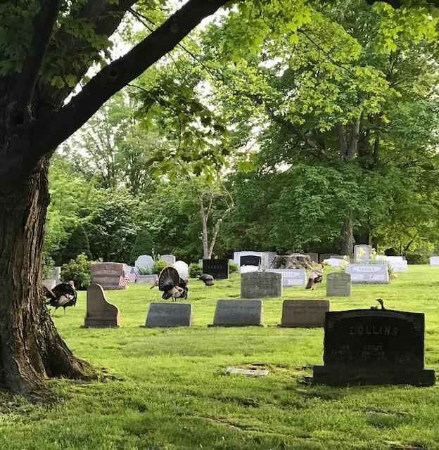 Wilton Bulletin Board — cemetery tour, mega tag sale