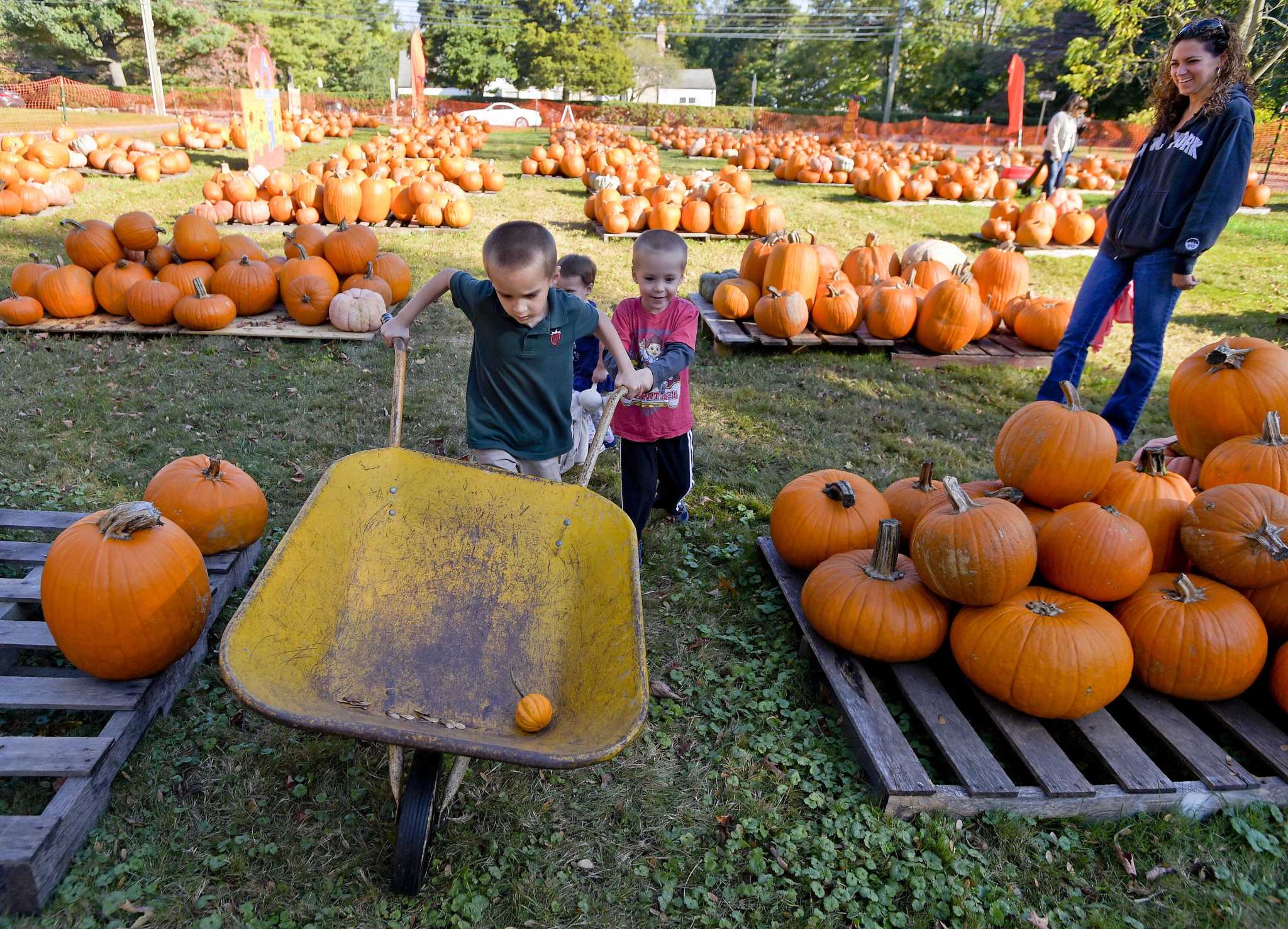 Pumpkin patch with a purpose at Stamford’s St. John’s Lutheran Church