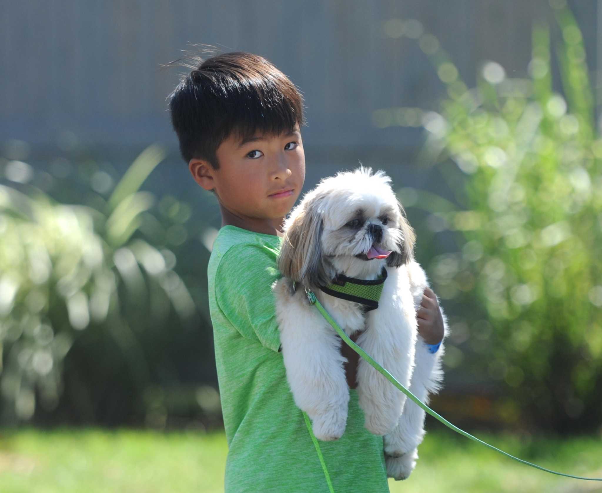 Puttin’ On The Dog and other things to do in Greenwich