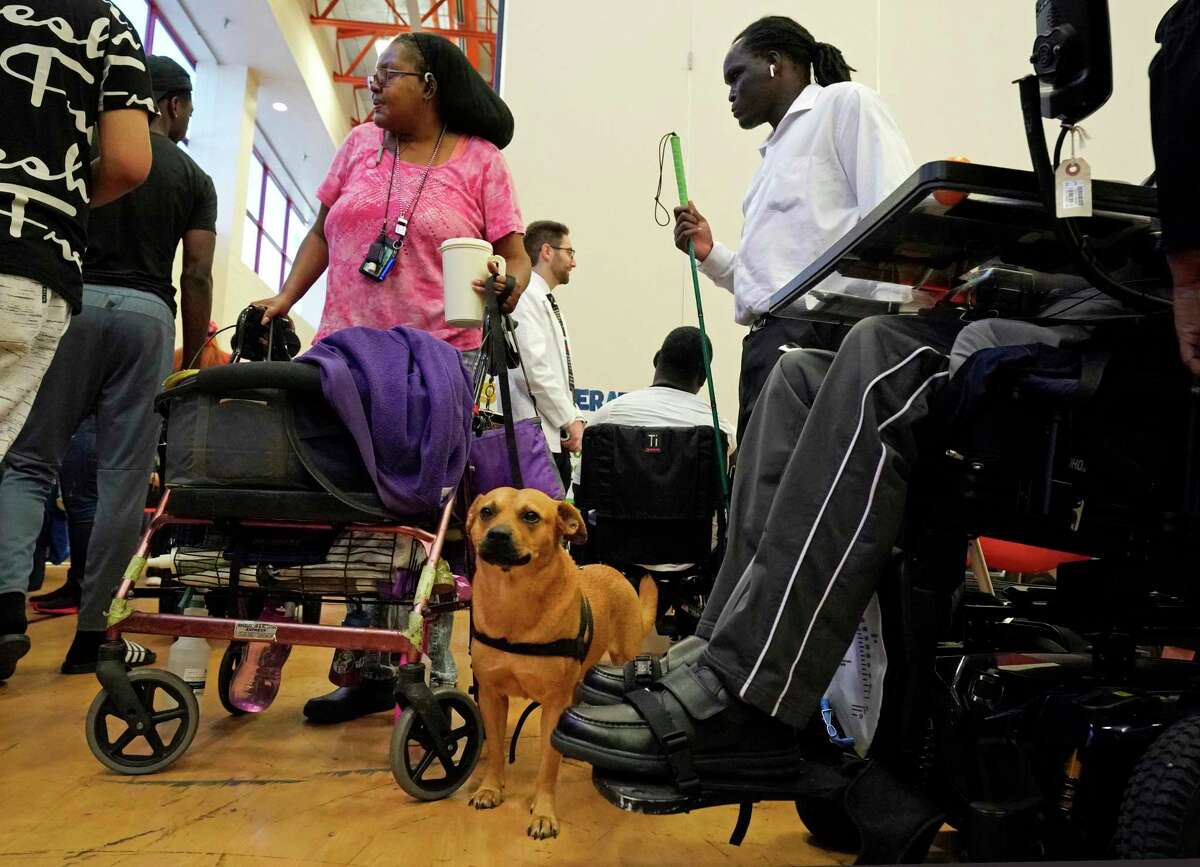 Houston celebrates disabilities, diversity in 11th annual event