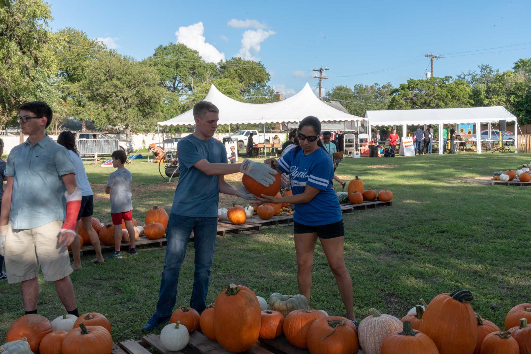 Annual Pumpkin Patch opens Thursday for a month of events, sales