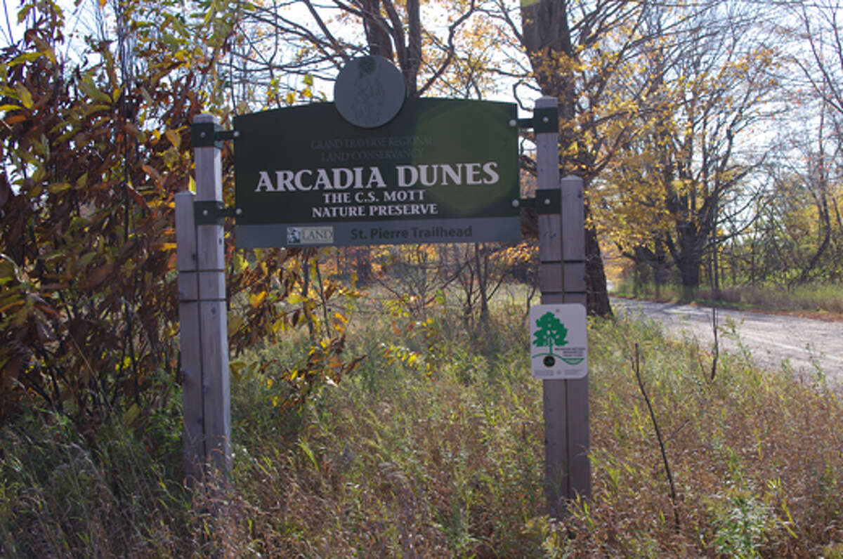 Autumn destination: Arcadia Dunes in the C.S. Mott Nature Preserve