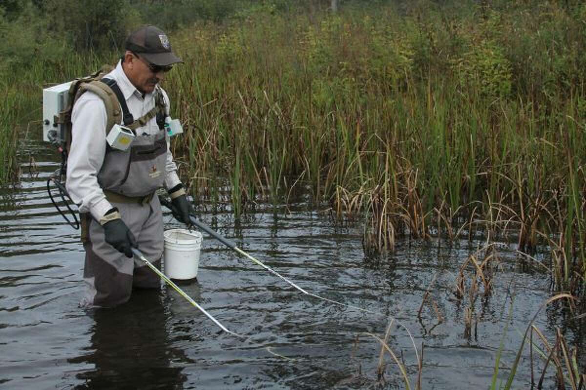 Lake Michigan tributaries to see sea lamprey control