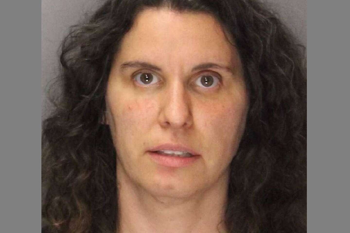 Alleged blood-thrower charged with felony assault on public official