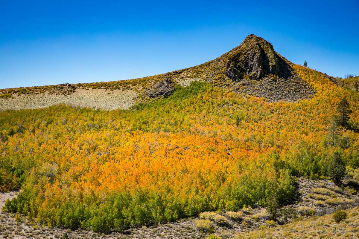 Go now! Brilliant fall colors peak in Eastern Sierra