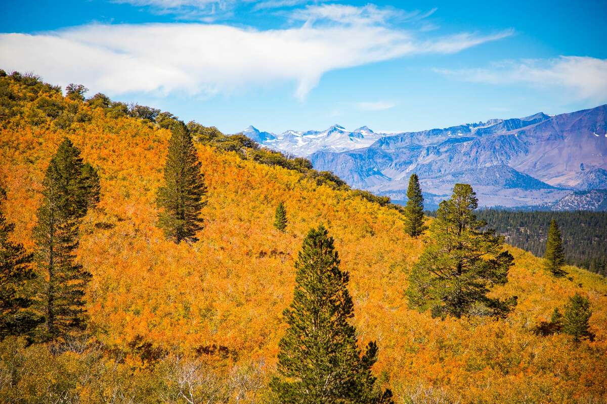 Go now! Brilliant fall colors peak in Eastern Sierra
