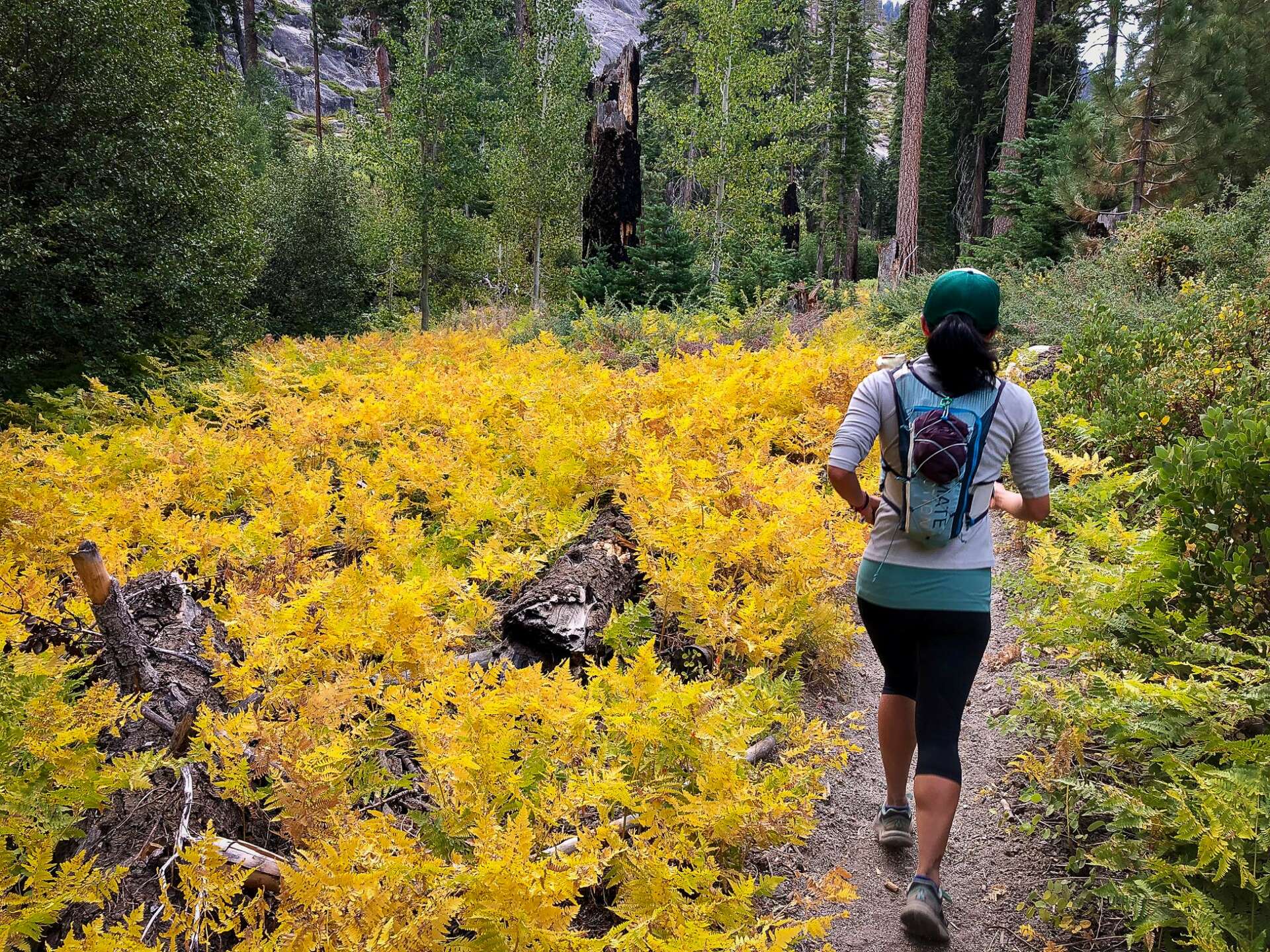 Go now! Brilliant fall colors peak in Eastern Sierra