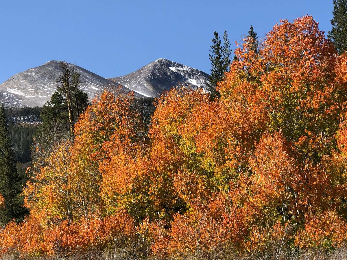 Go now! Brilliant fall colors peak in Eastern Sierra