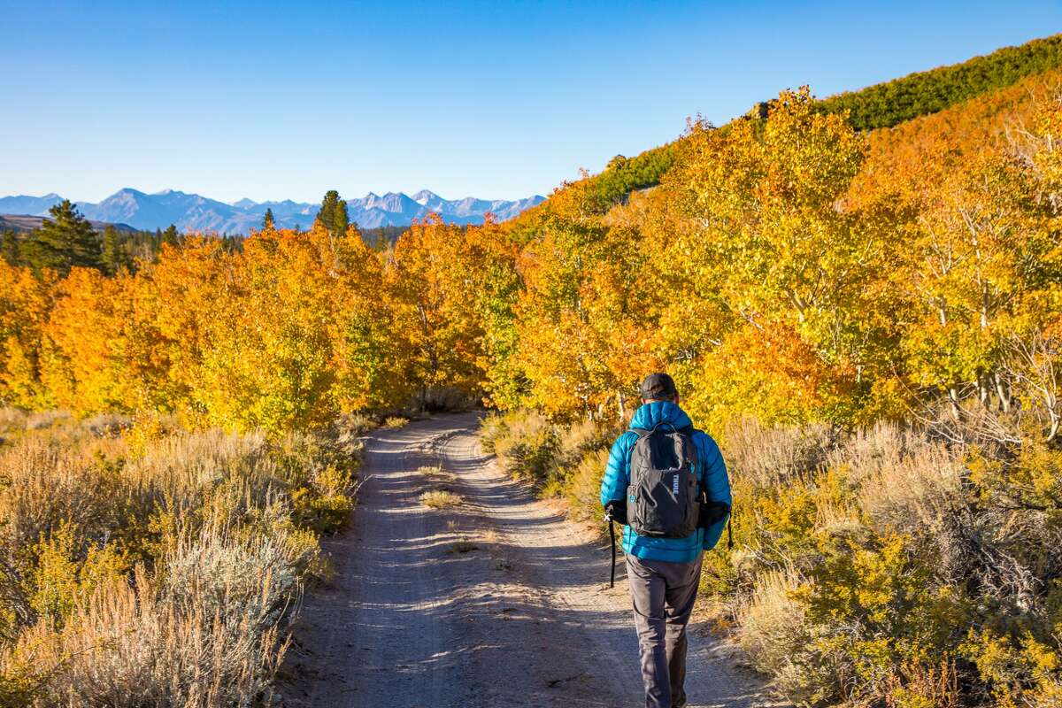 Go now! Brilliant fall colors peak in Eastern Sierra