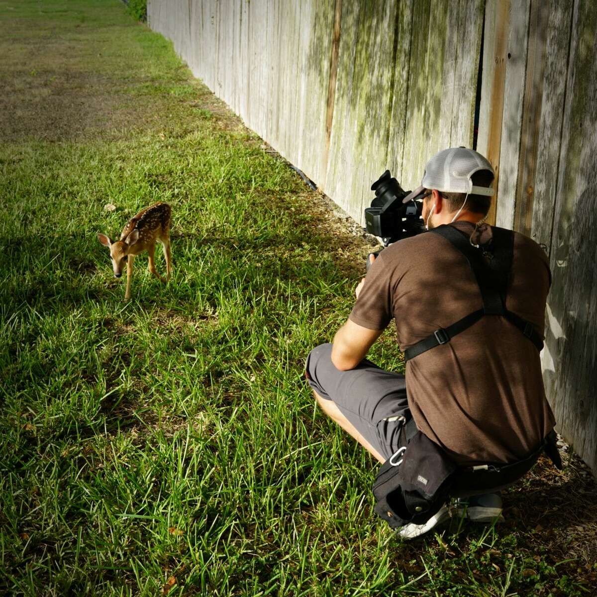 Inside 'Lone Star Law,' Animal Planet's hit TV show based on Texas game ...