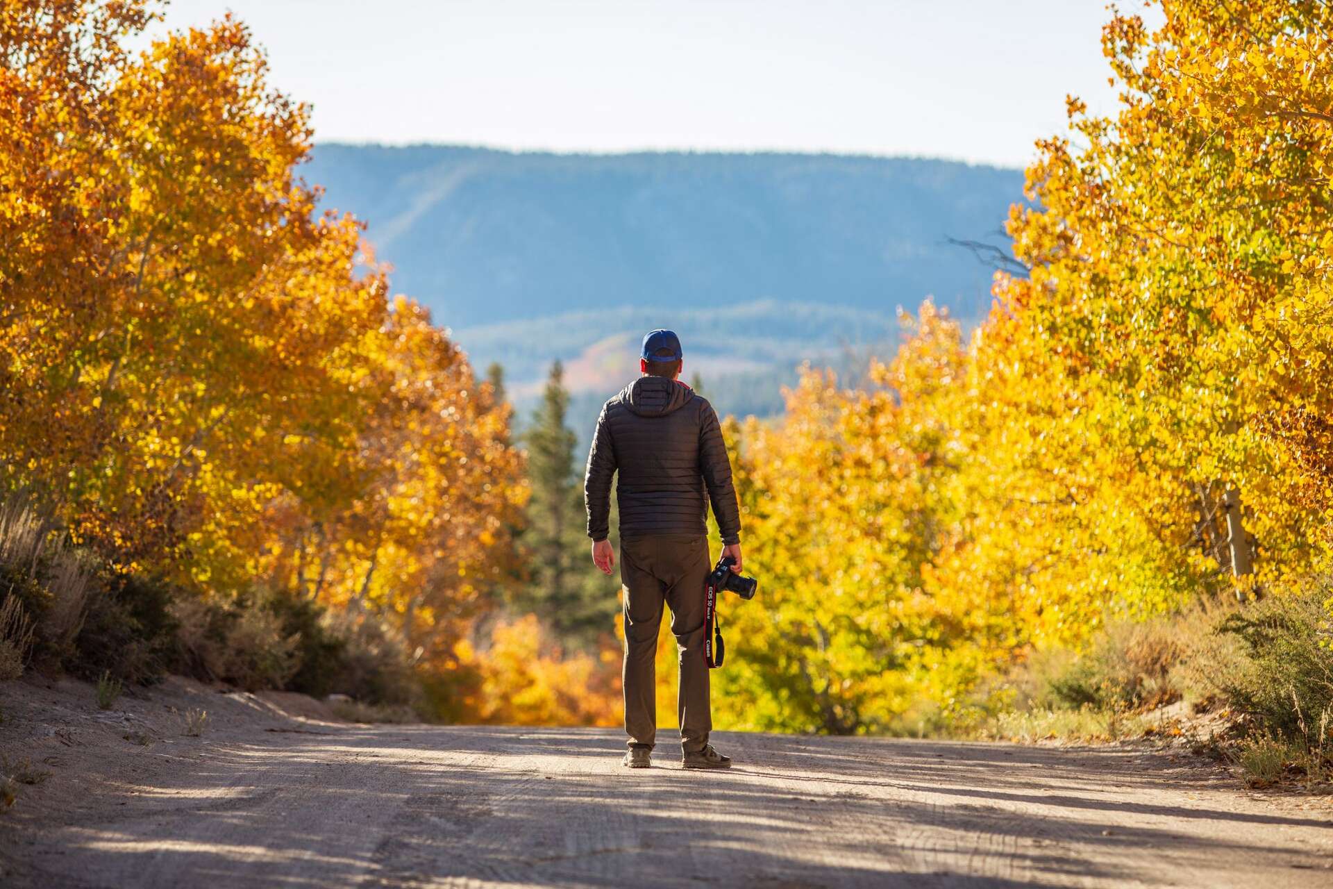 Go now! Brilliant fall colors peak in Eastern Sierra