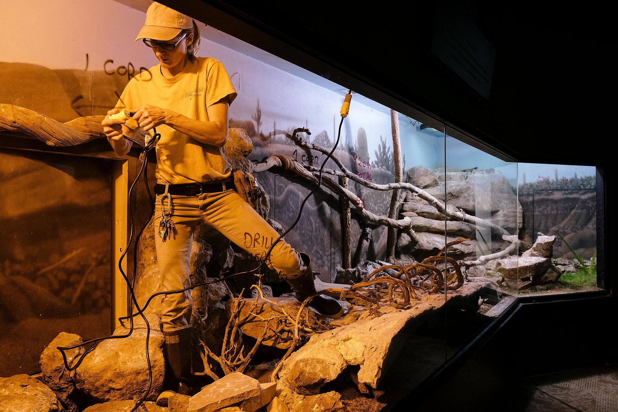 Oakland Zoo stays closed a second day, with focus on protecting most ...