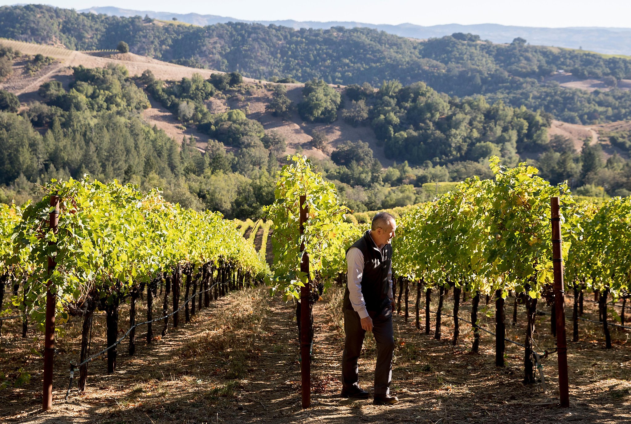 Earthquakes, fires, blackouts: Napa vineyard hit hard — again