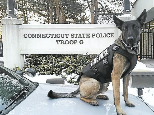State police K-9 Silver gets protective vest