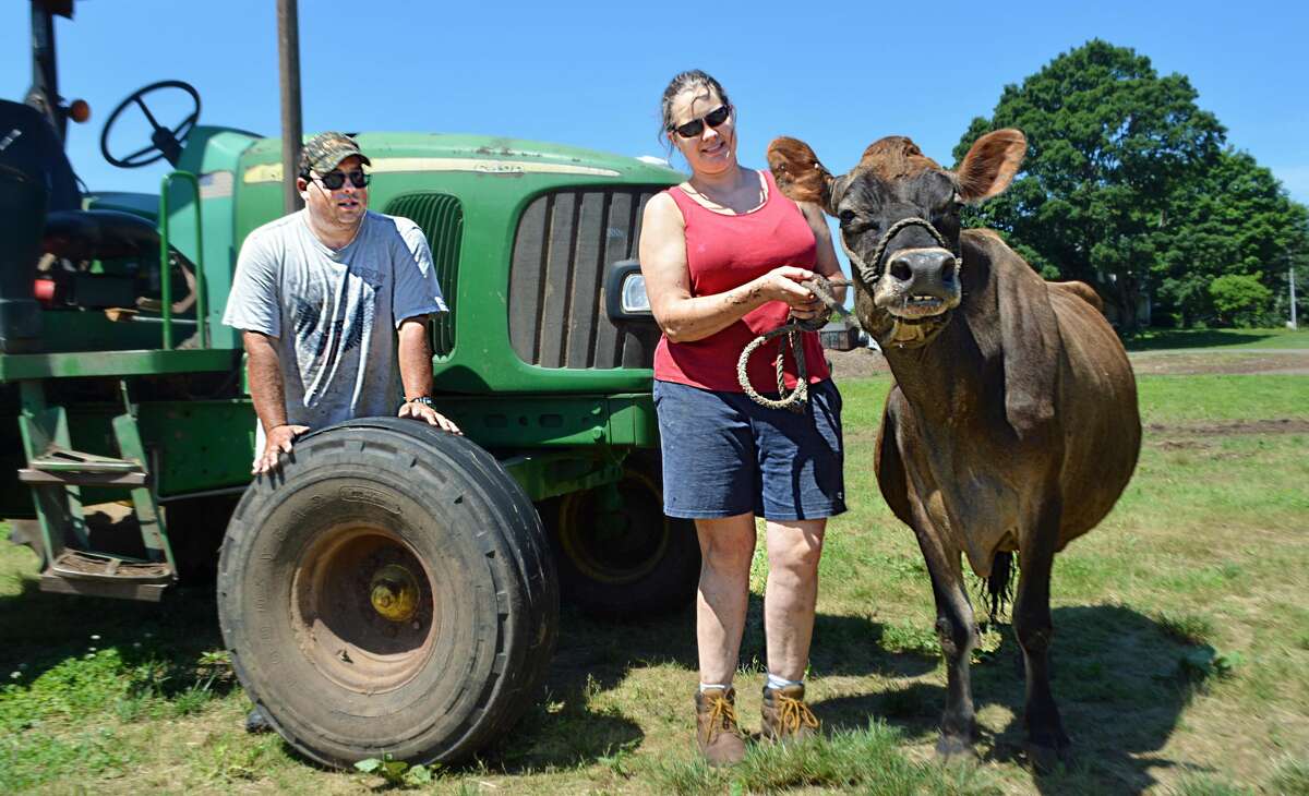 Nearly 300 years of dairy farming comes to end in Durham, victim of ...