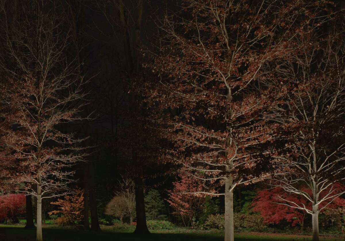 Exterior lights transform a home's night landscape