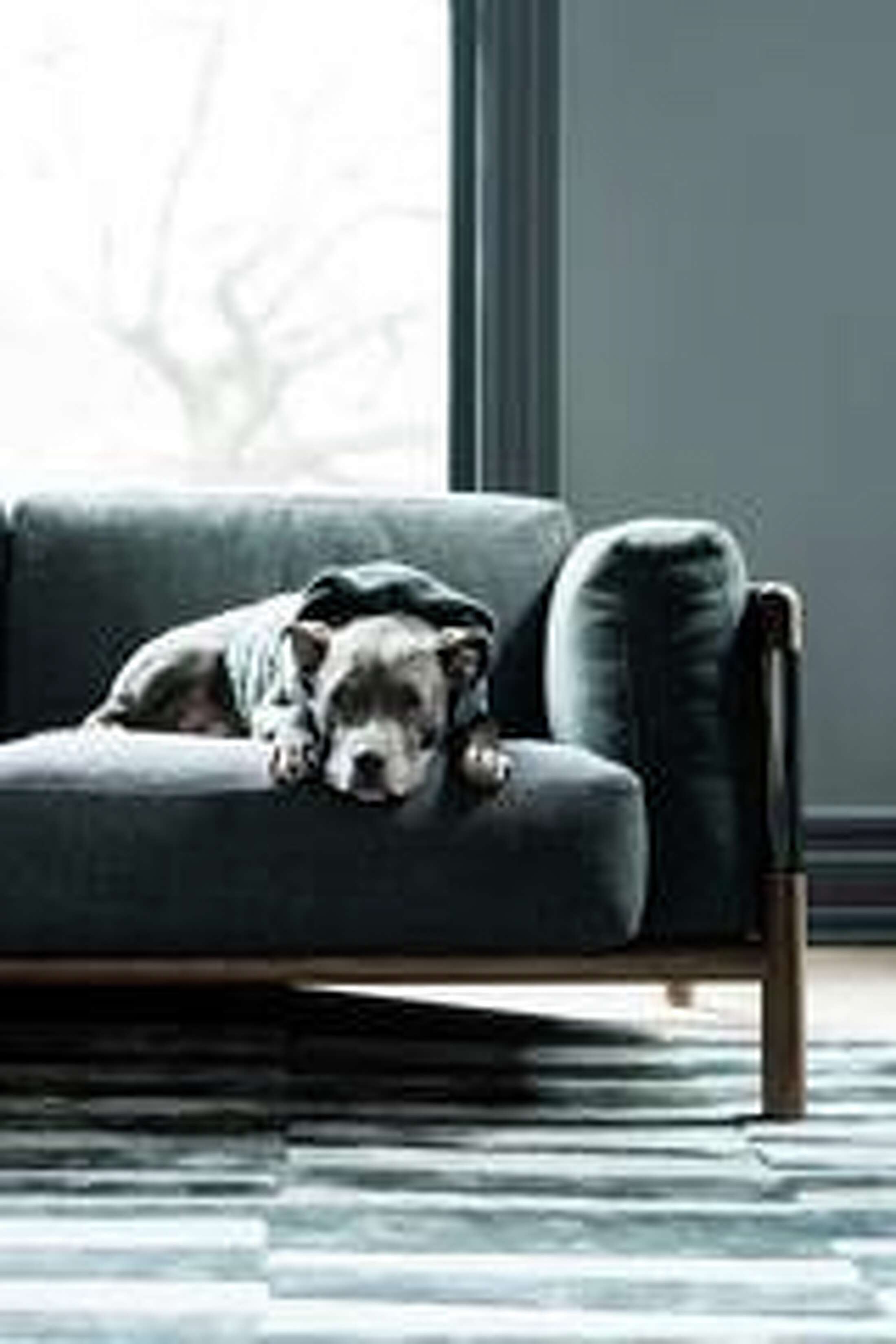 Historic Courtlandt Place home is a jewel on AIA Houston home tour