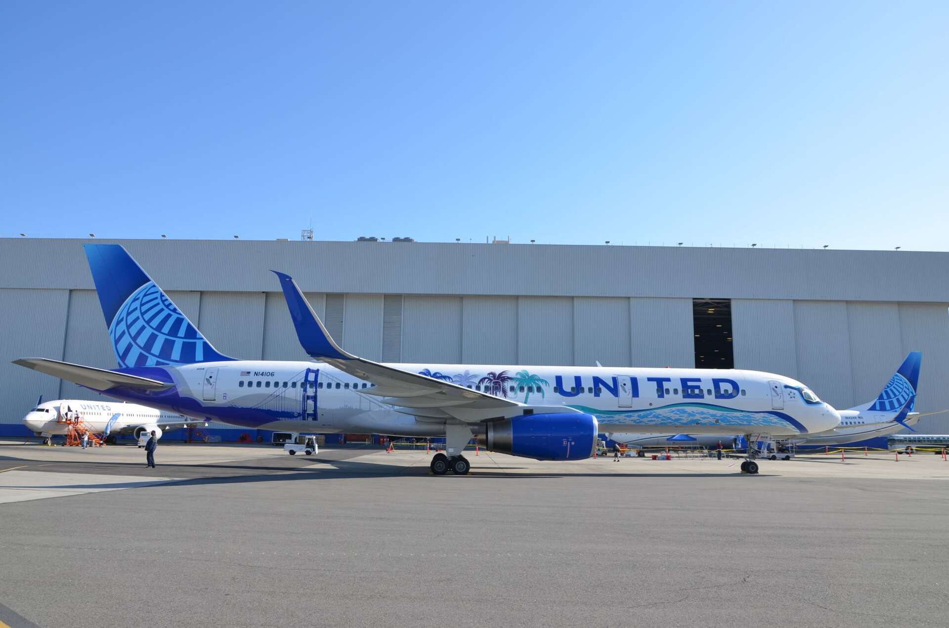 San Francisco artist transforms United jet into her flying canvas