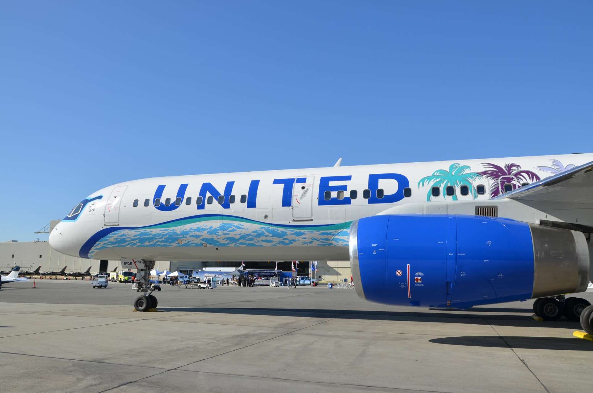 San Francisco artist transforms United jet into her flying canvas