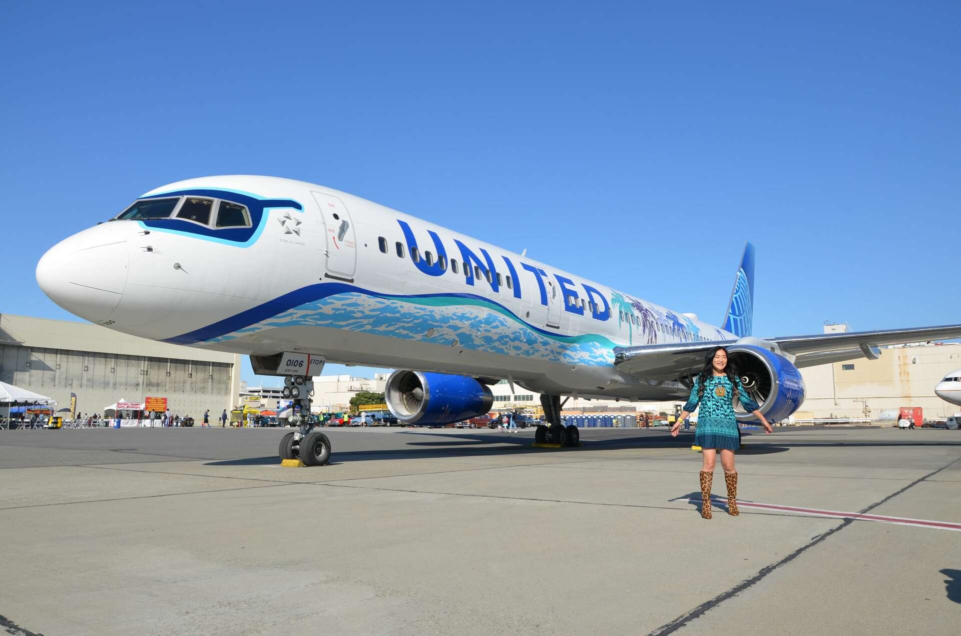 San Francisco artist transforms United jet into her flying canvas