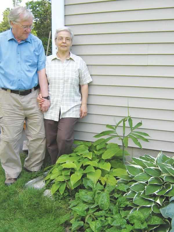 Hamden’s real Green Dragon