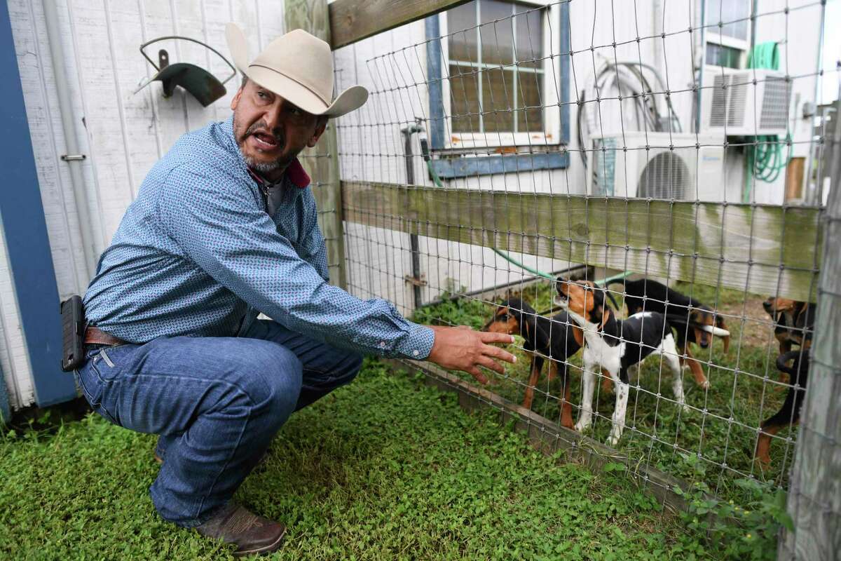 South Texas-trained dogs keeping rhino poachers at bay in South Africa