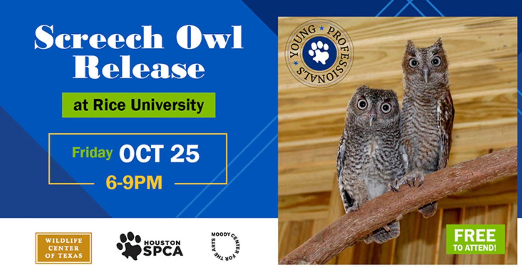 Rehabbed owls rescued at Rice University will be released there ahead ...