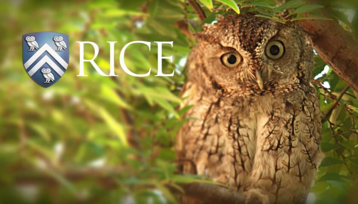 Rehabbed owls rescued at Rice University will be released there ahead ...