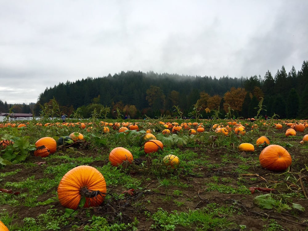 Downtown Seattle News, Articles, Stories & Trends for Today