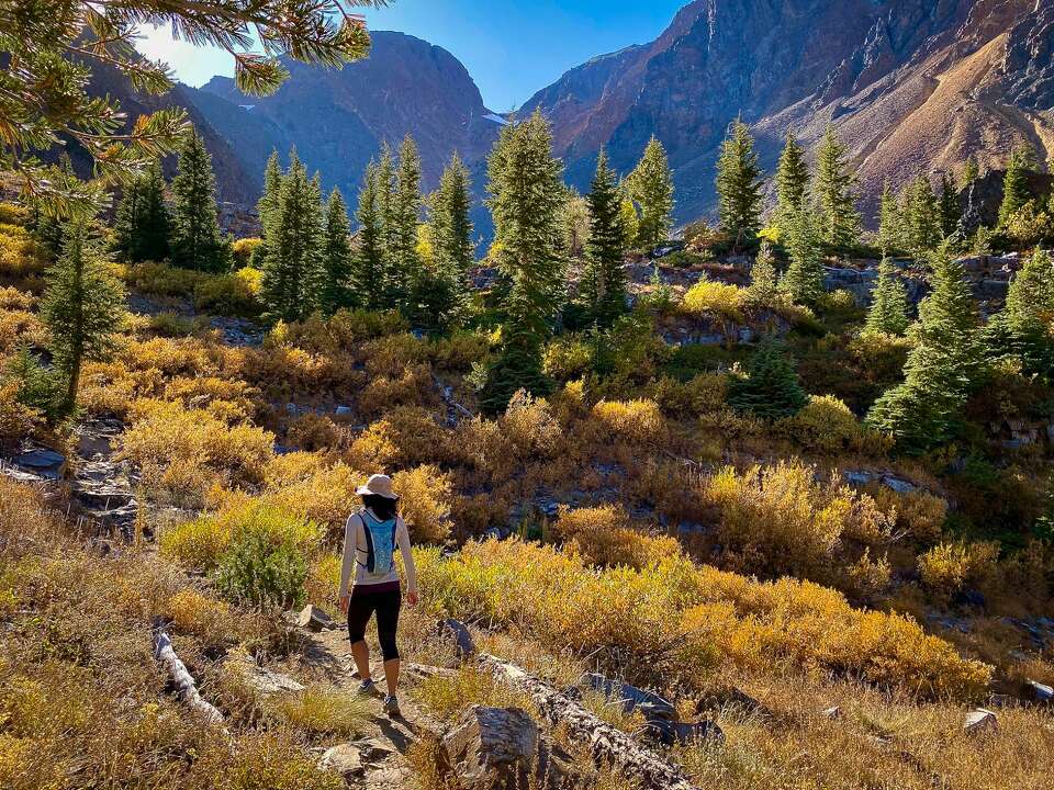 Where to find the best fall colors in Northern California and Bay Area