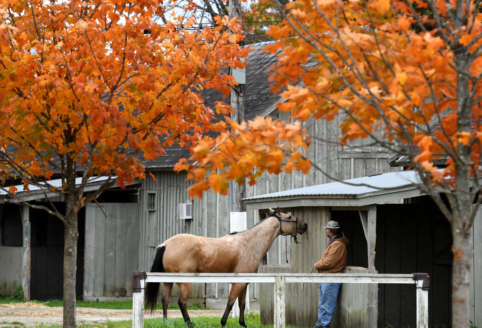 Peak fall colors, perfect weather align in Capital Region this weekend