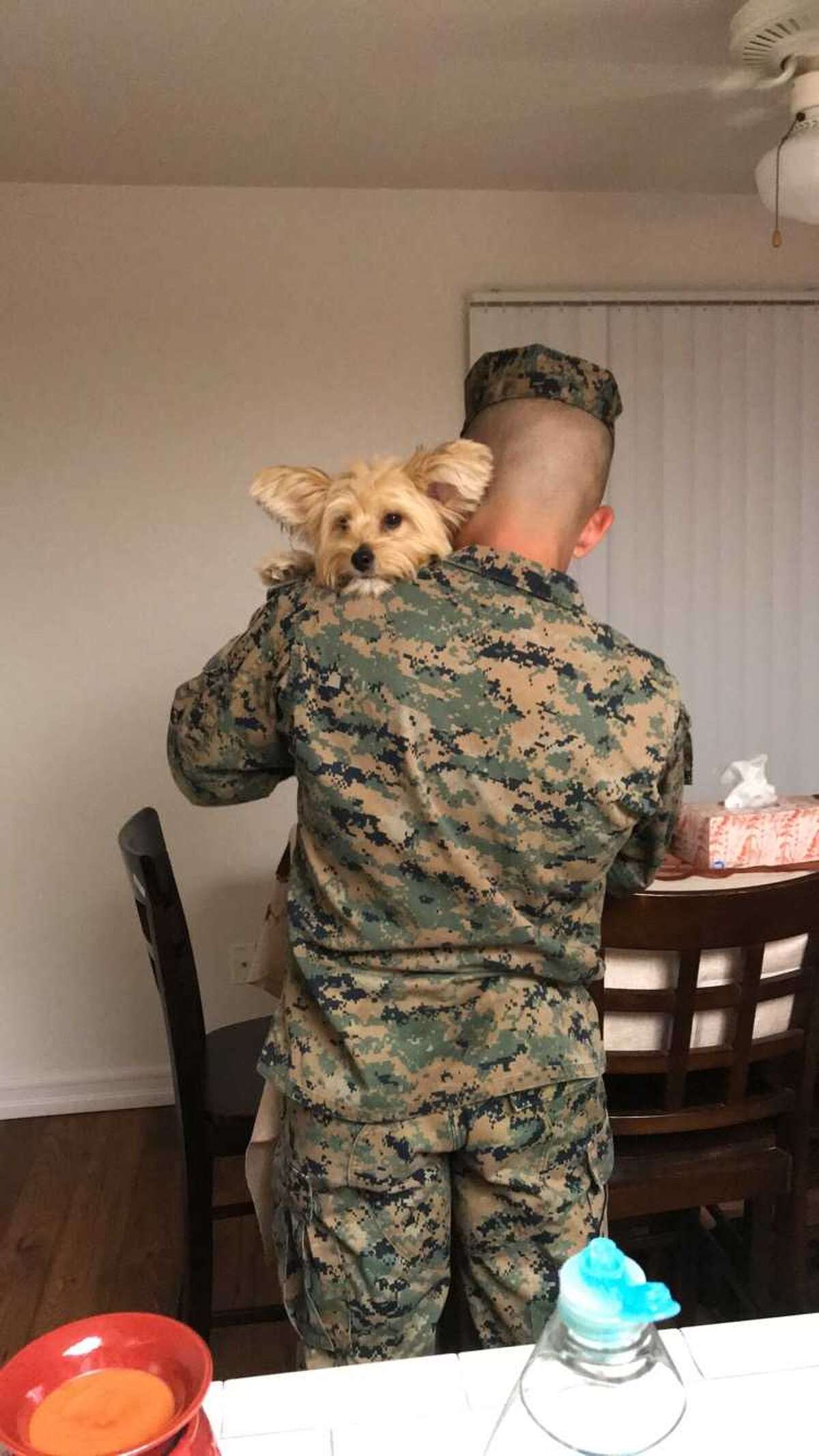 This Marine got a very furry welcome home