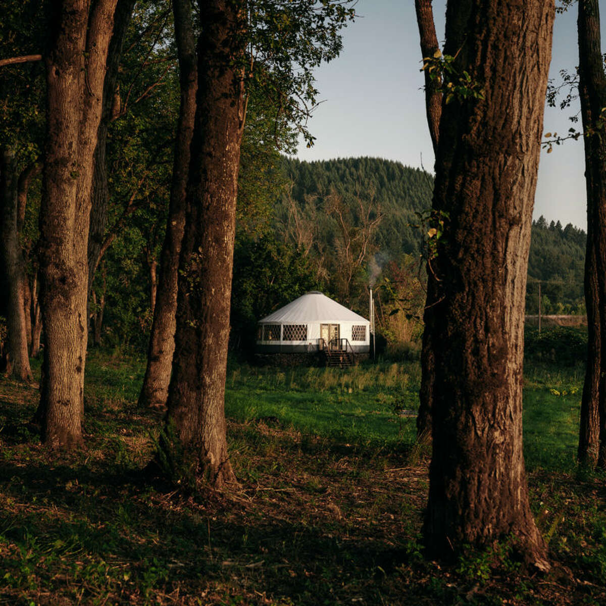 You’ll want to move into this modern, foliage-filled yurt
