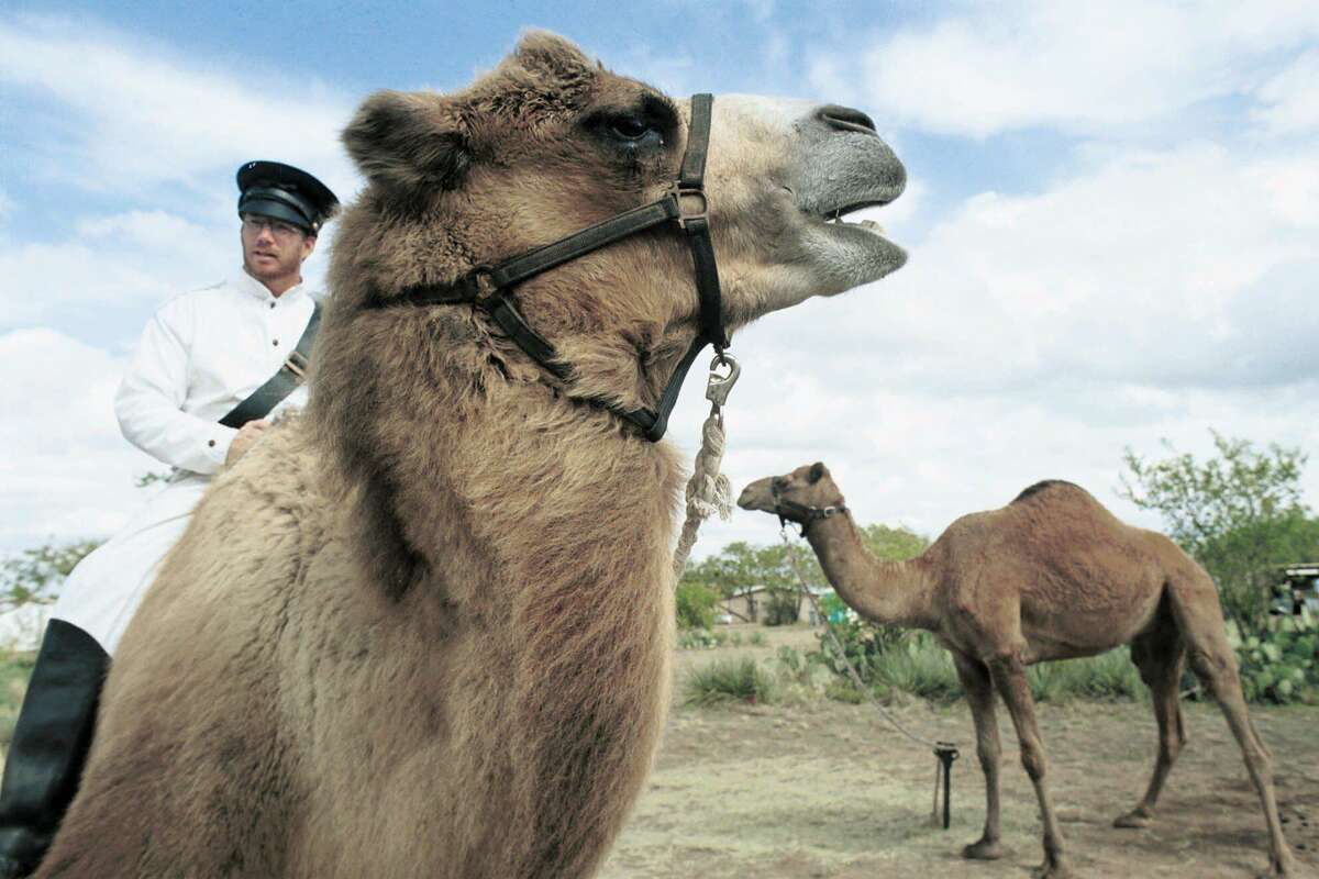 Novel ‘Seventh Flag’ tells a multi-generational story as tough as Texas