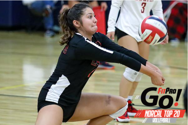 SportStars NorCal Volleyball Rankings: Top 20, Oct. 22