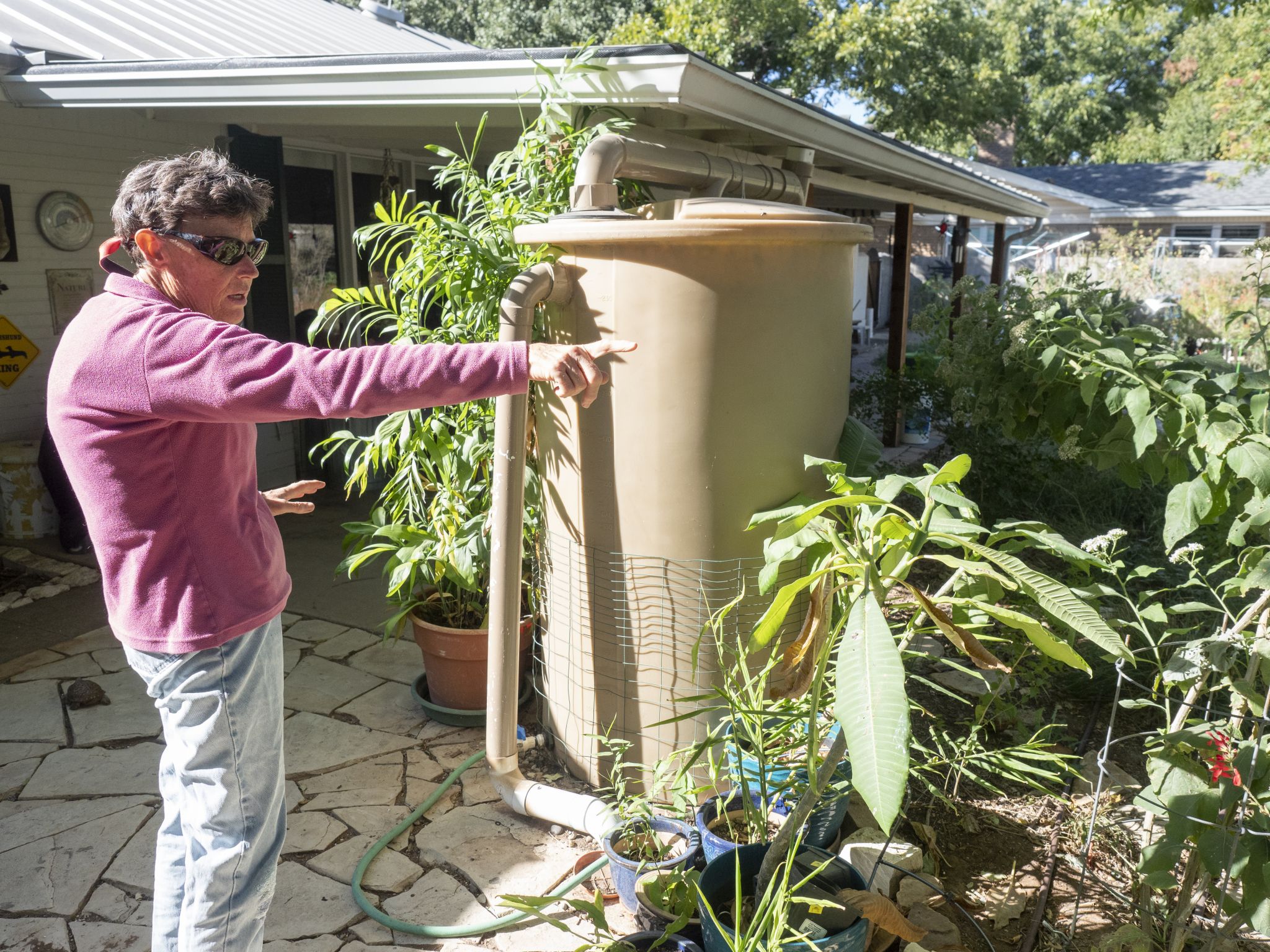 Home gardener grows more than 40 edible plants