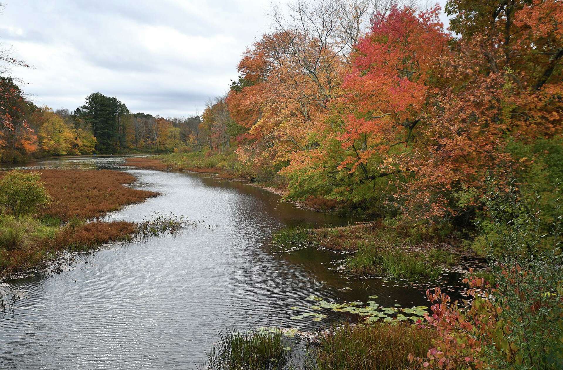 Here's where Wash. state ranks among the richest states in the country