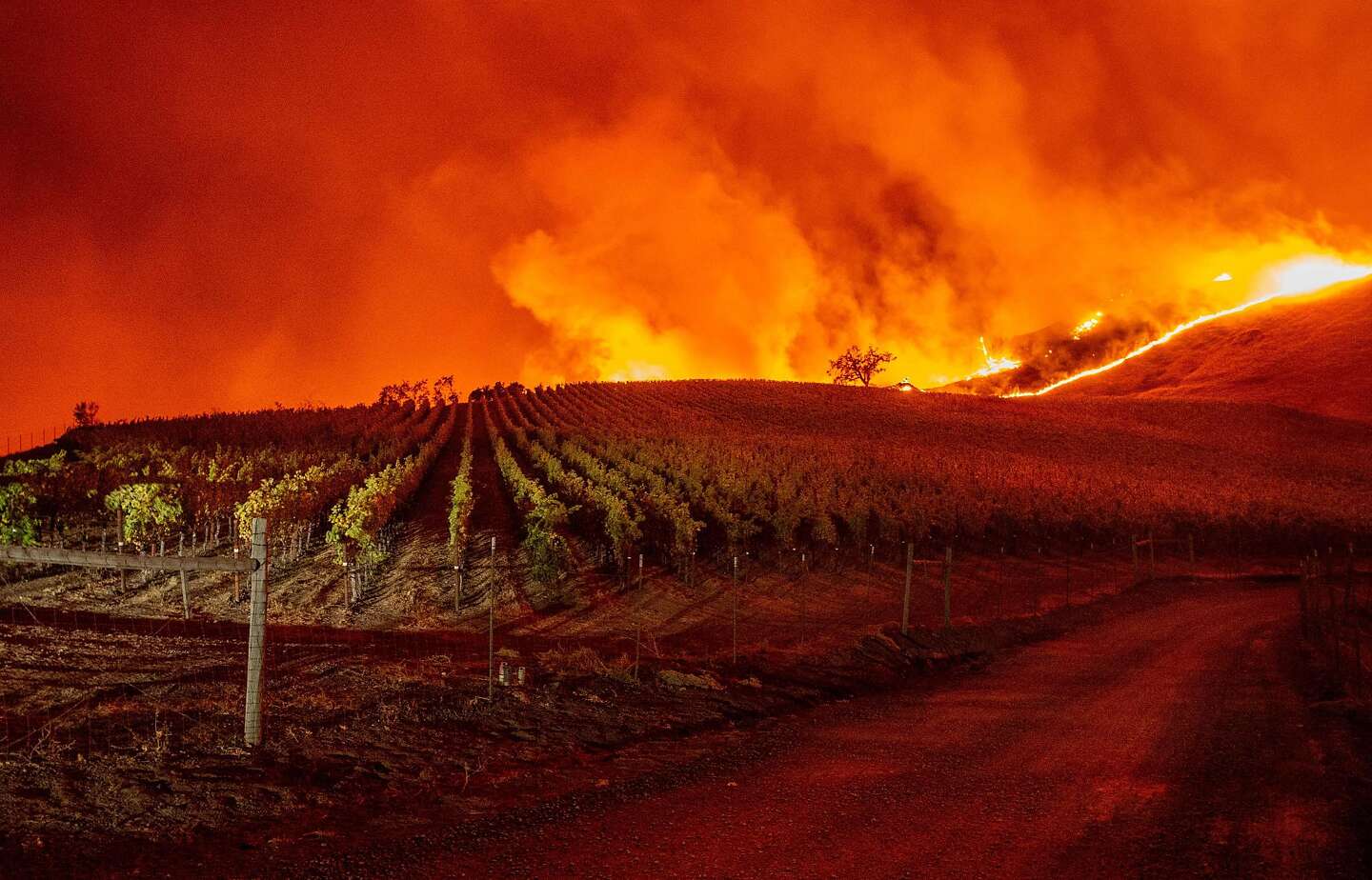 Terrifying videos show wild spread of Kincade Fire overnight