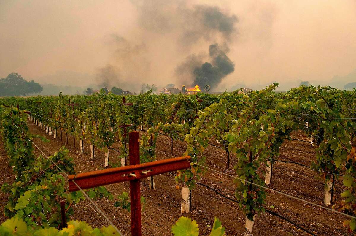 Kincade Fire threatens wineries; buildings burn at Geyser Road vineyard