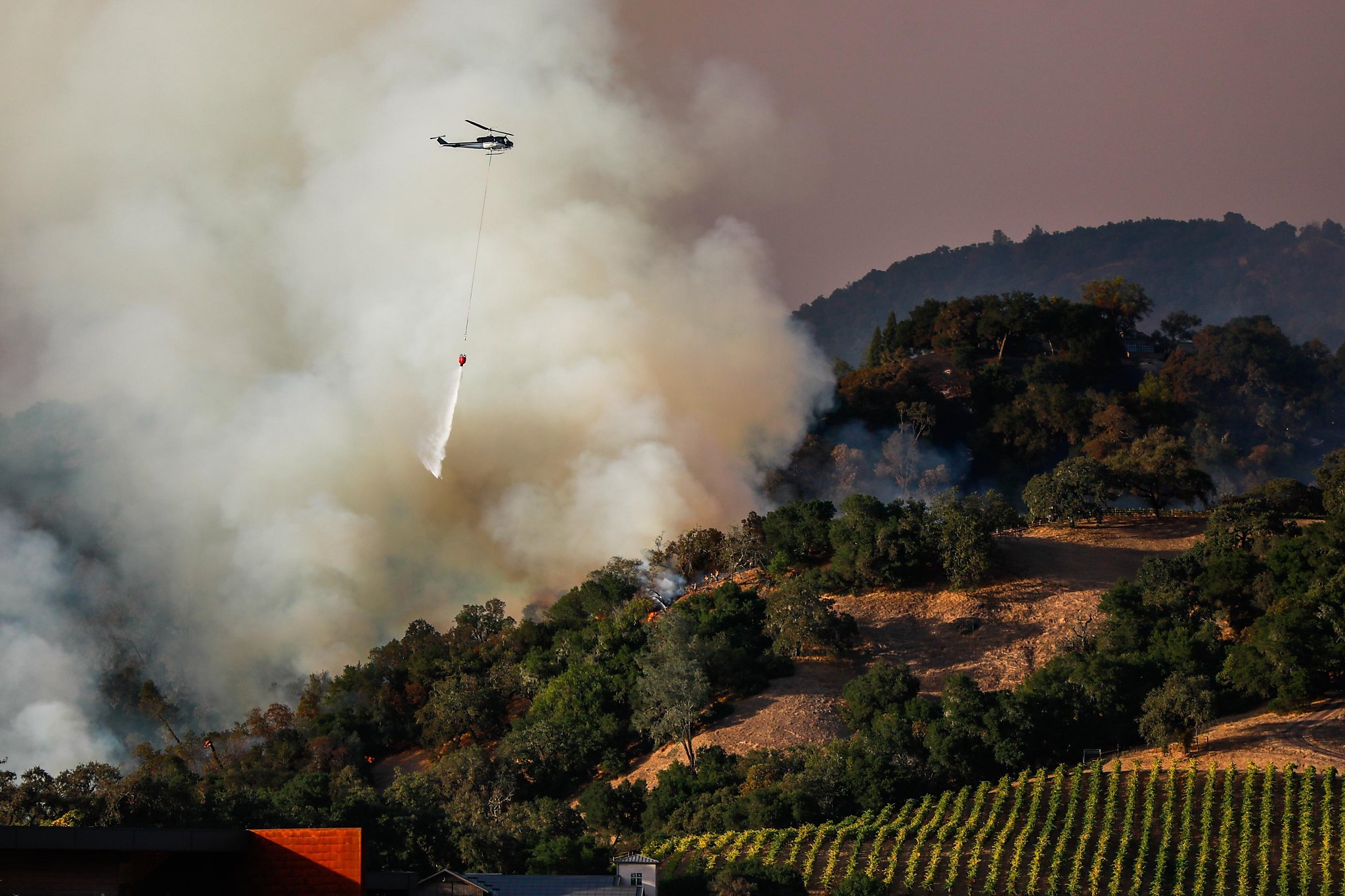 Latest Kincade Fire news: Winds whip Kincade Fire, mass evacuations ...