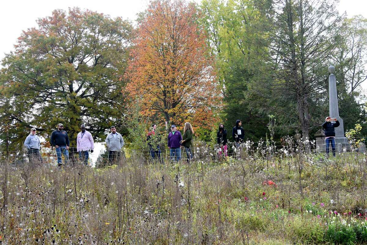 Photos: Goats, sheep graze at Vale Cemetery