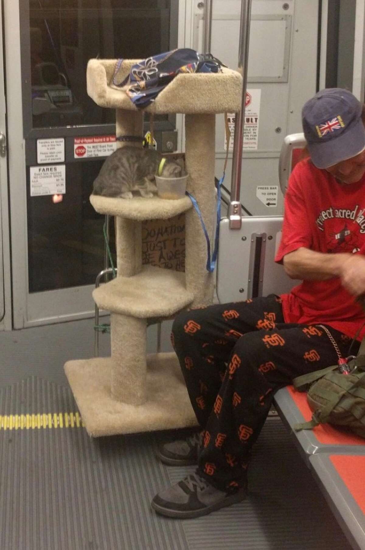 Here's what the new Muni cars will look like (yes, butt dents are back)