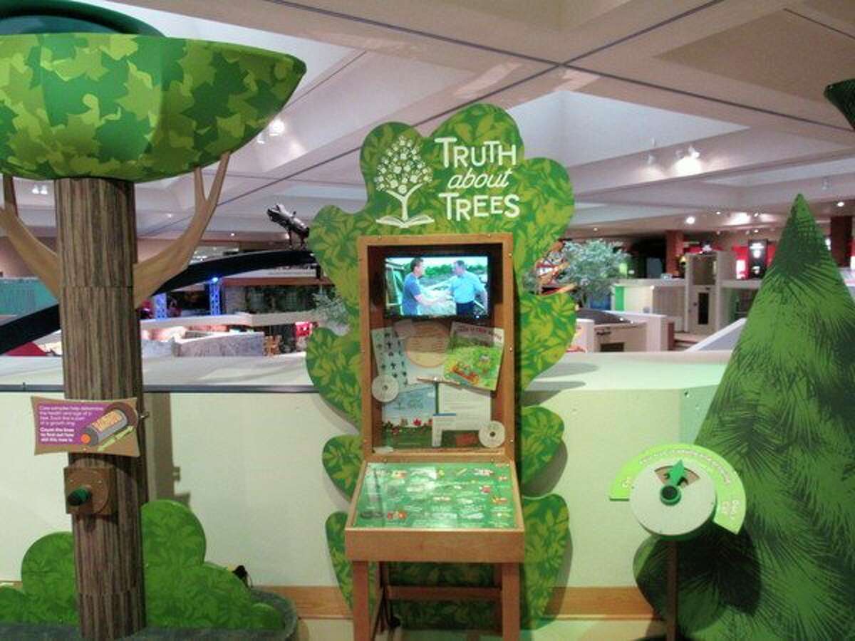 MCFTA: Newest exhibits explore forests, fears