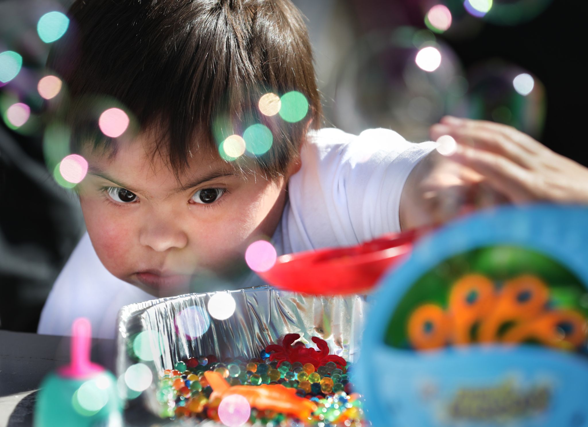 Our top stories of the week, in photos