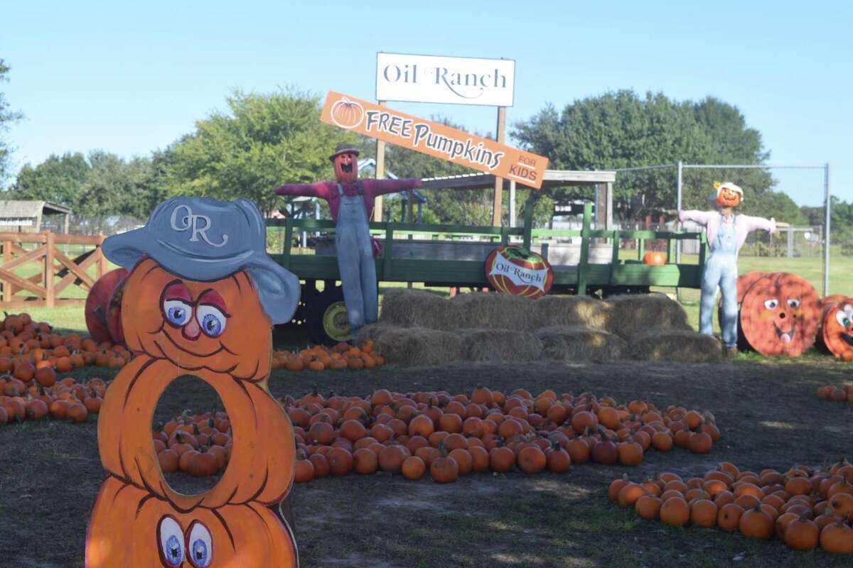 Oil Ranch provides fun away from the city for northwest Houston residents