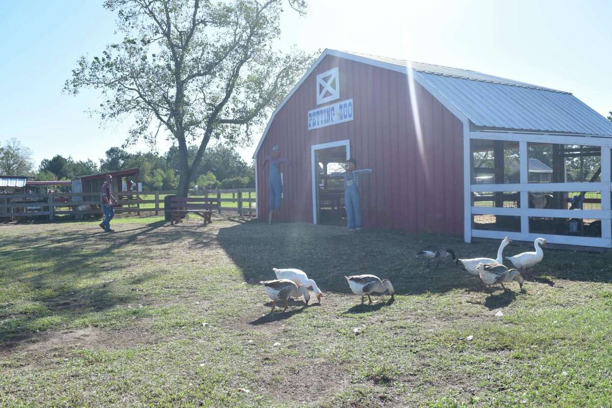 Oil Ranch provides fun away from the city for northwest Houston residents