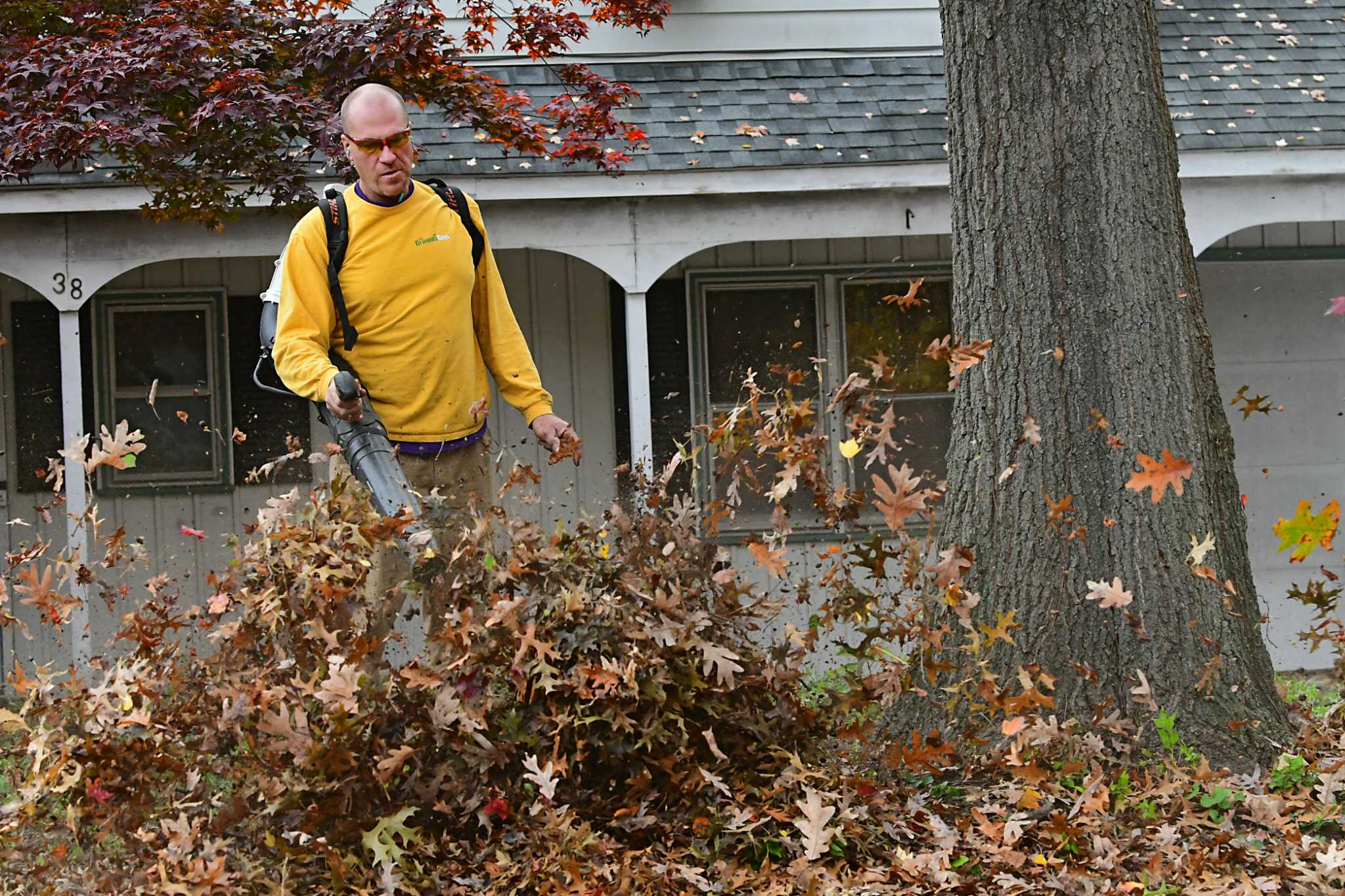 Jason Gough's forecast: It's clone club for the weather